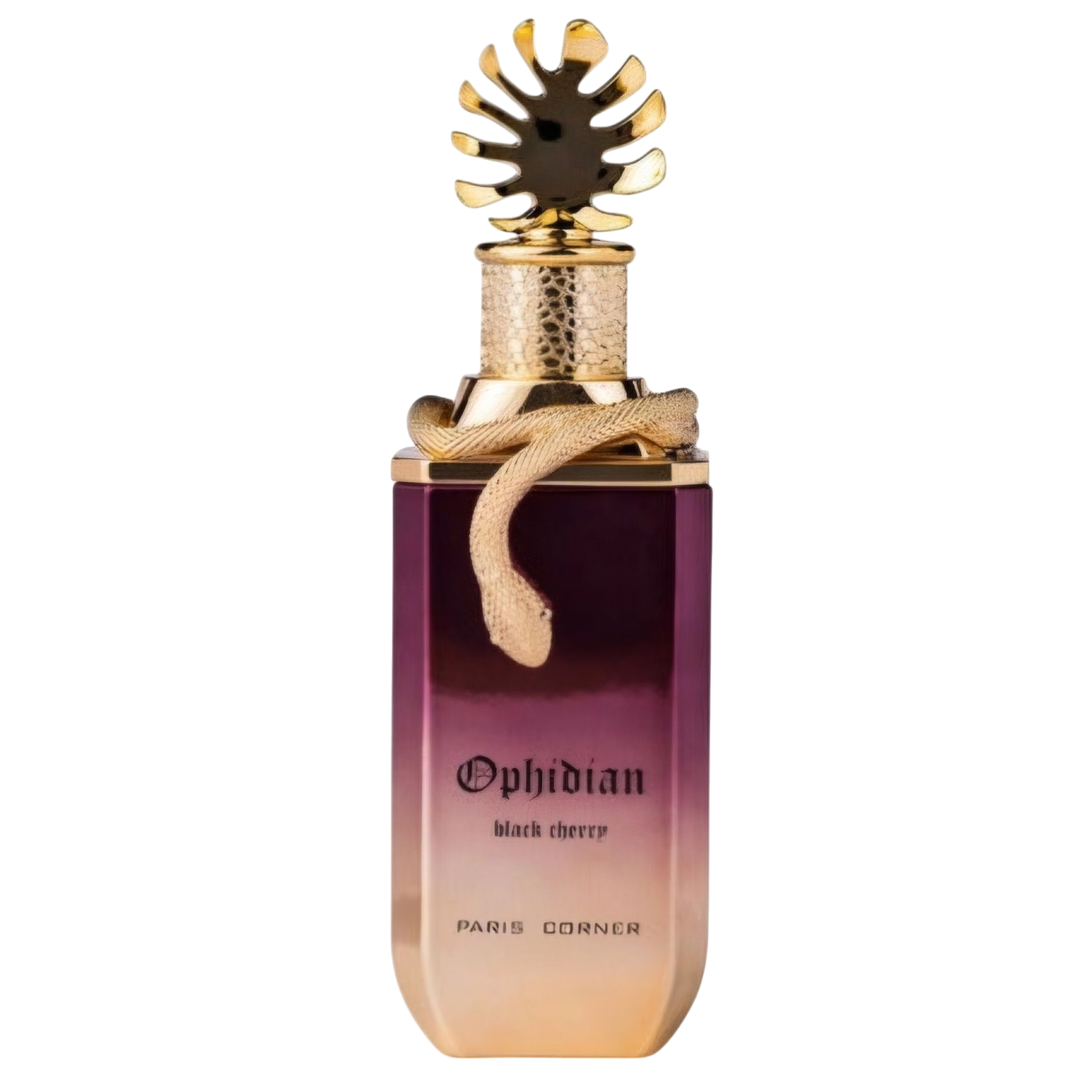 Paris Corner Ophidian Black Cherry – Decantalize